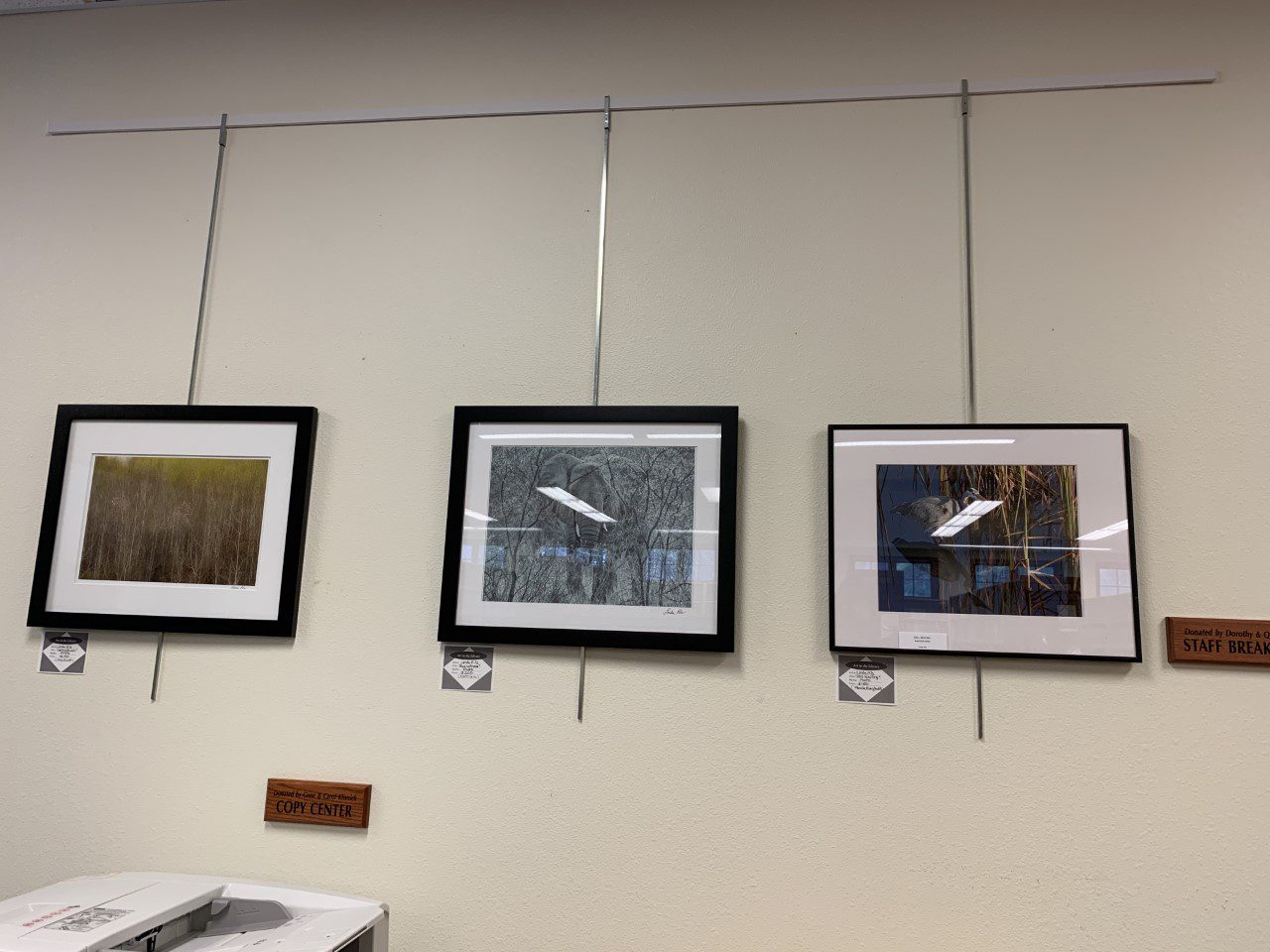Art in the Library Exhibit - Boulder Junction Public Library